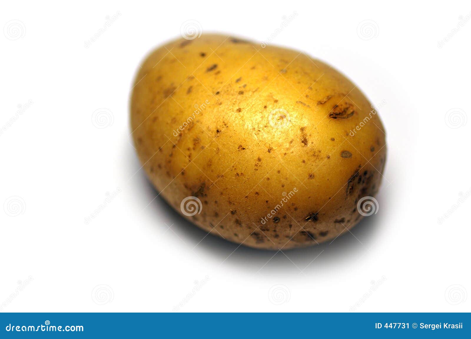 Potato stock image. Image of highlight, vegetables, indoor - 447731