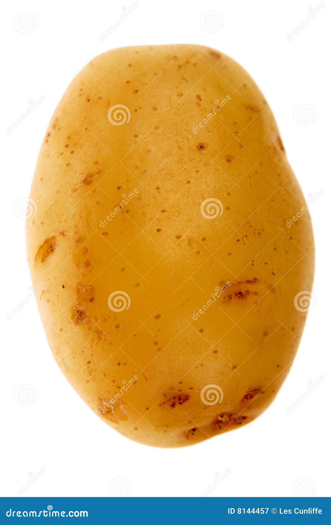 Potato stock image. Image of cutout, inside, white, macro - 8144457