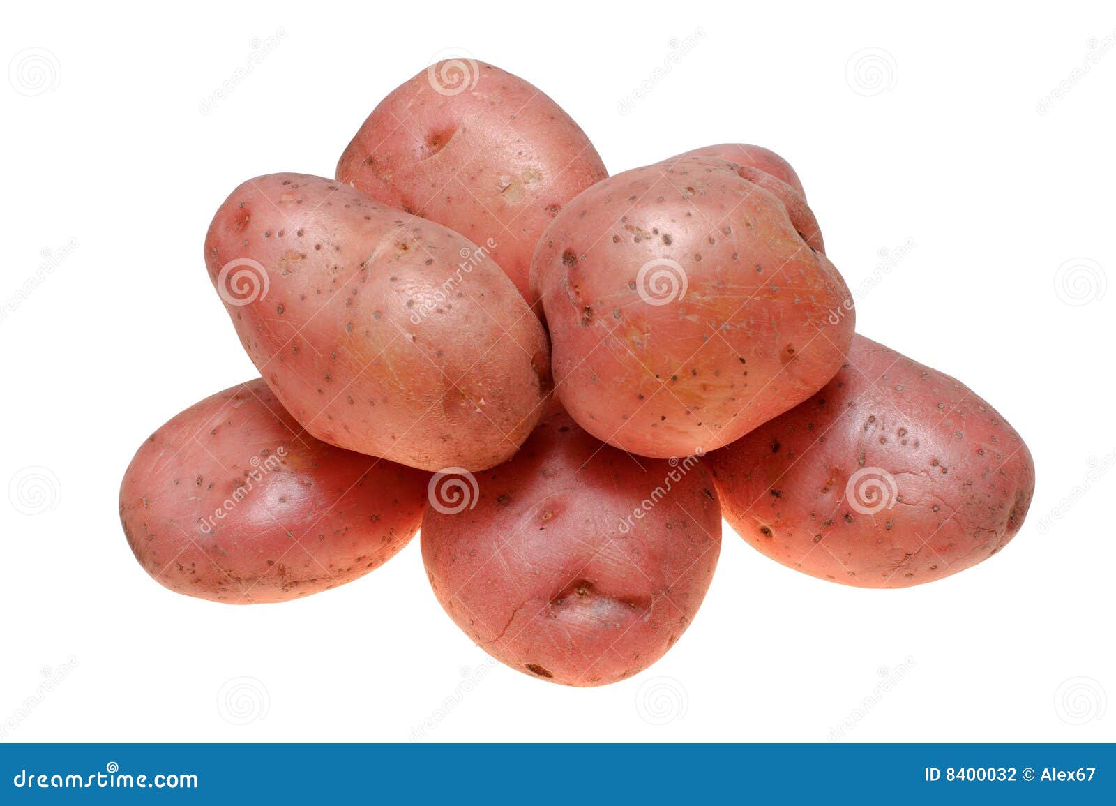 Potato stock photo. Image of skin, color, potato, agriculture - 8400032