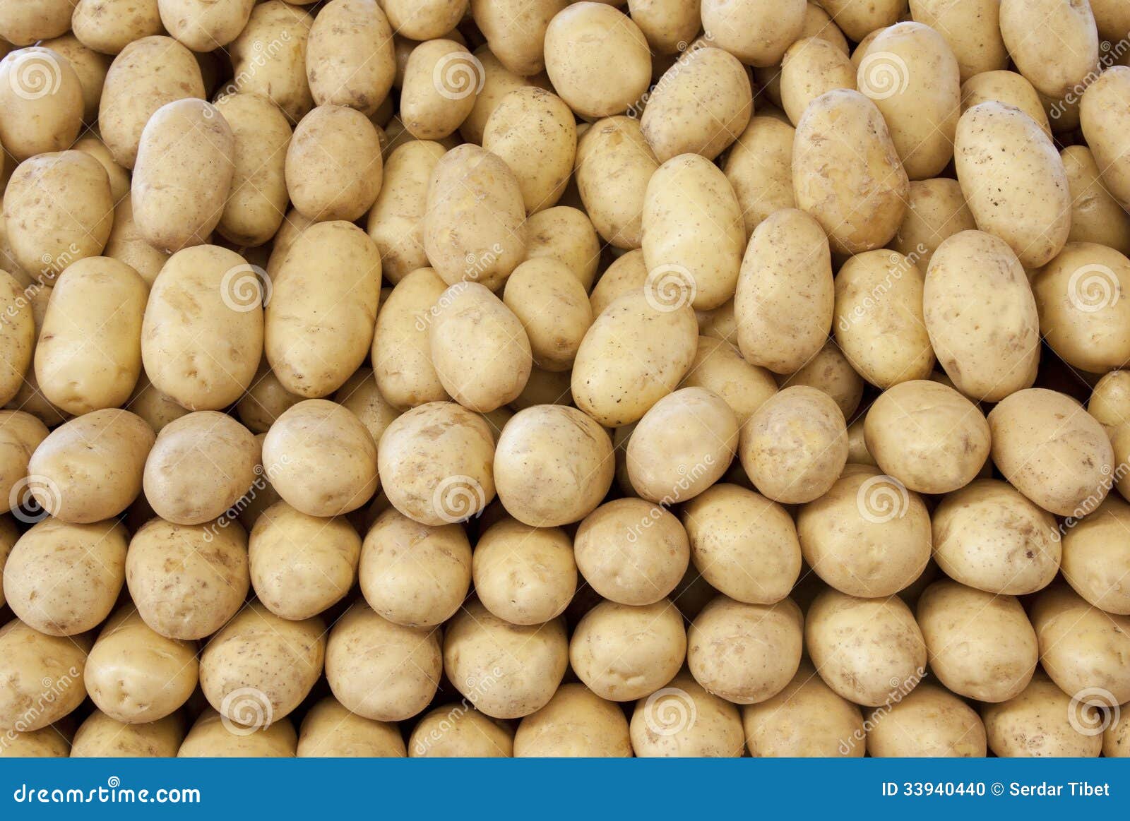 Potato background stock photo. Image of diet, background - 33940440