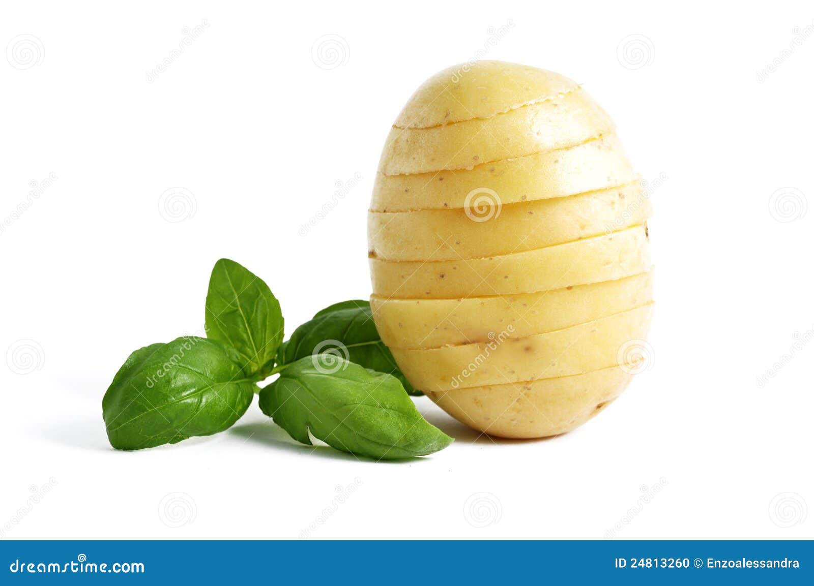 Potato with basil stock photo. Image of ingredient, white - 24813260