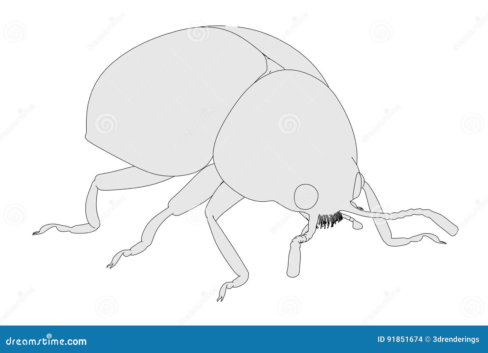 Potato beetle stock illustration. Illustration of pest - 91851674