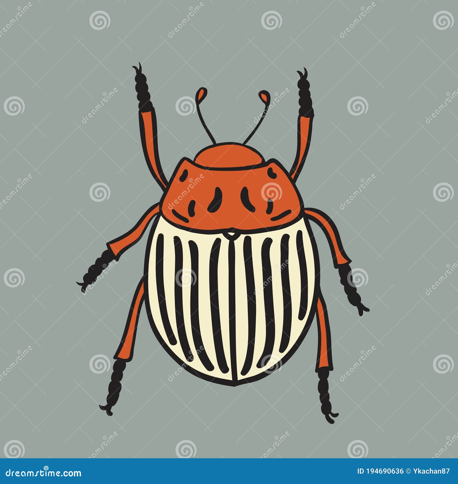 Potato Beetle Illustration. Vector Design Isolated Element Stock Vector ...
