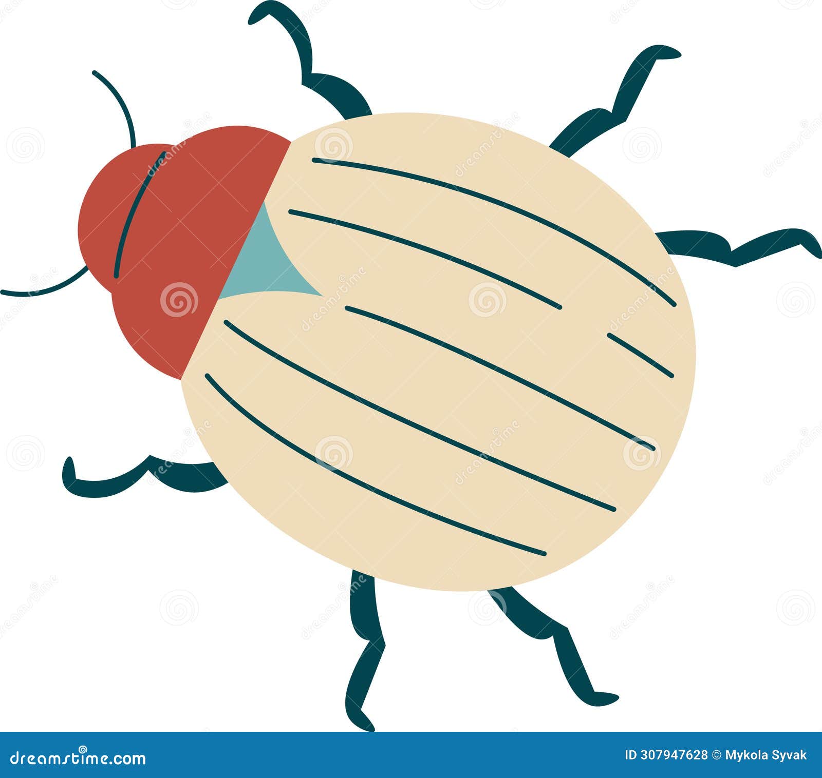 Potato Beetle Insect stock vector. Illustration of green - 307947628