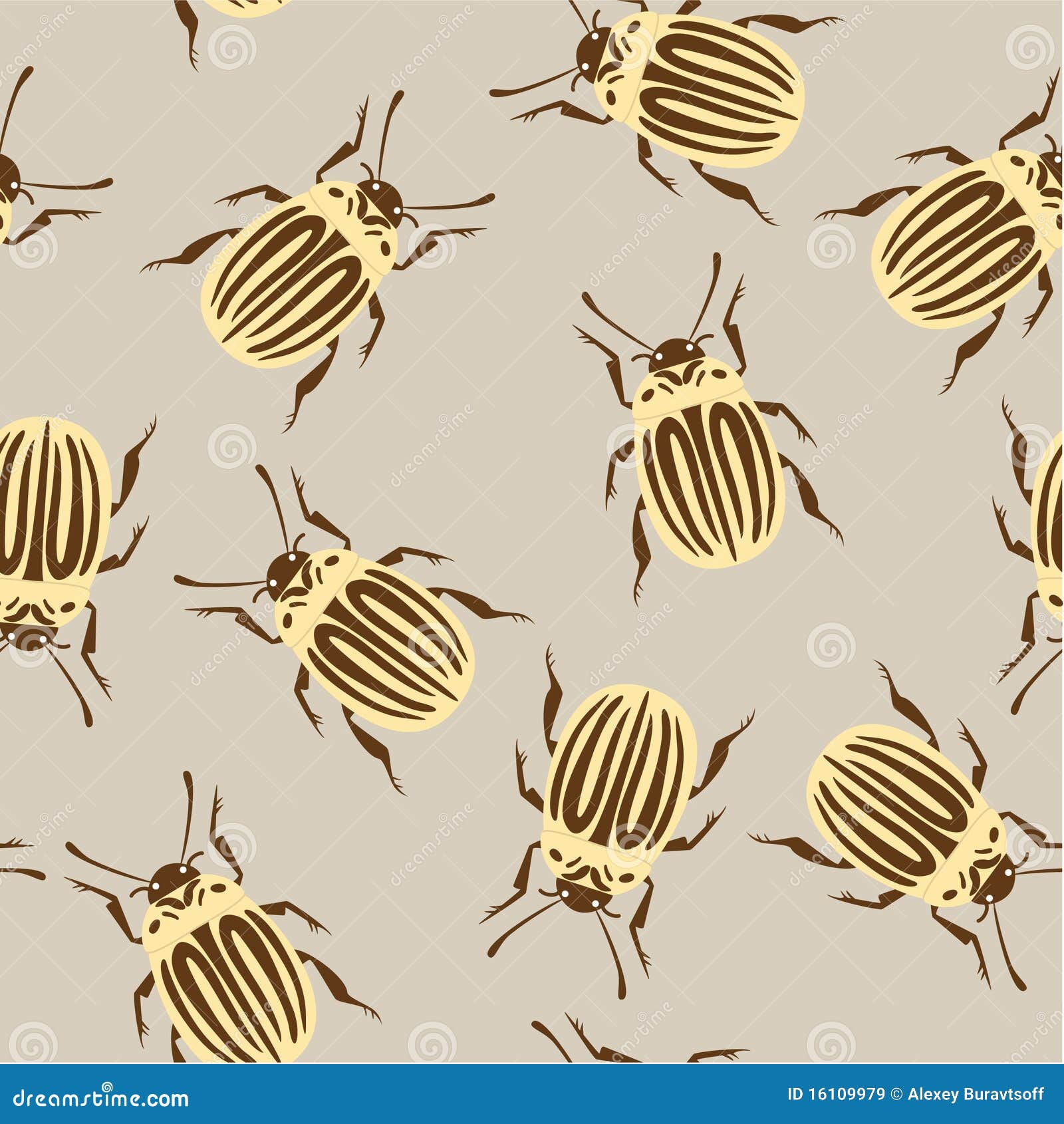 Potato beetle seamless stock vector. Illustration of colorado - 16109979