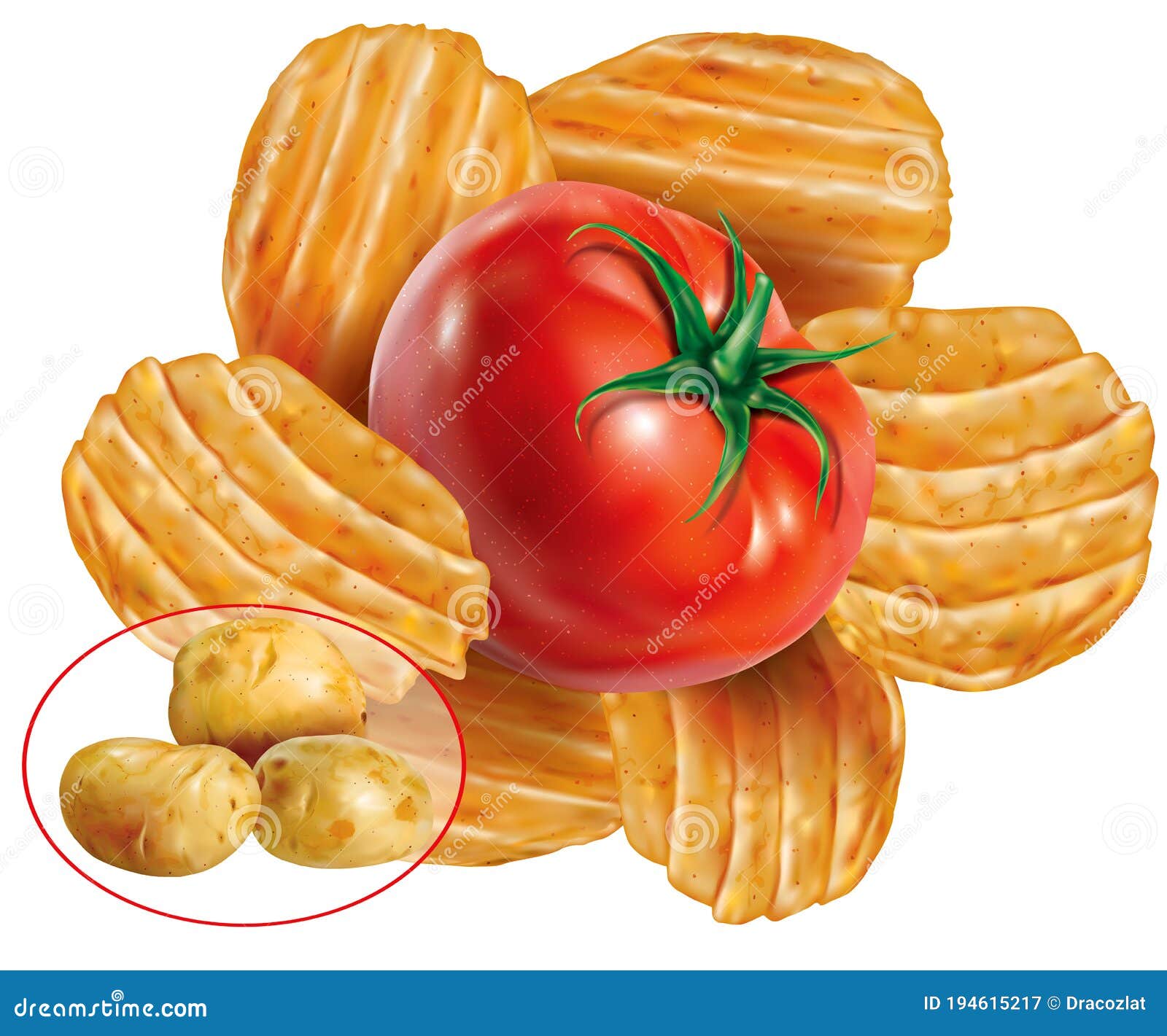 Potatoes Tuber And Potato Wavy Chips Vector Illustration ...