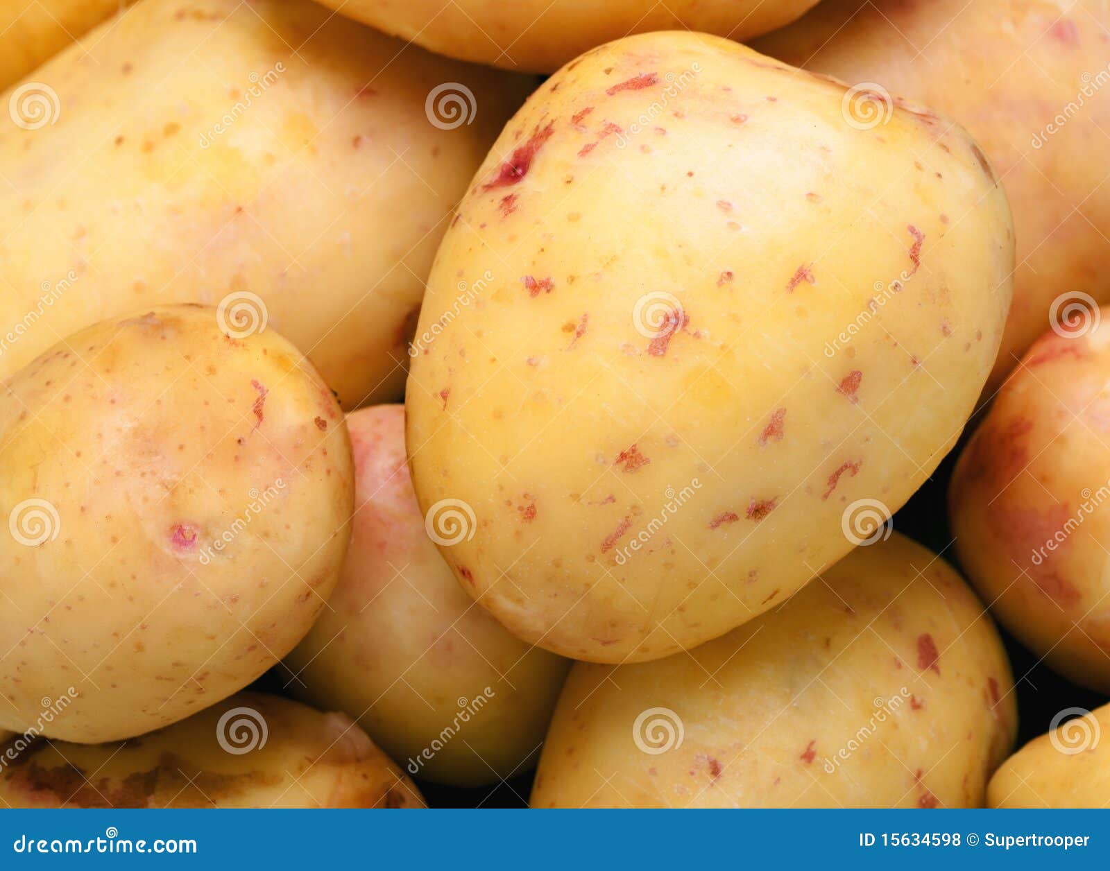 Potato close up stock photo. Image of freshness, farming - 15634598