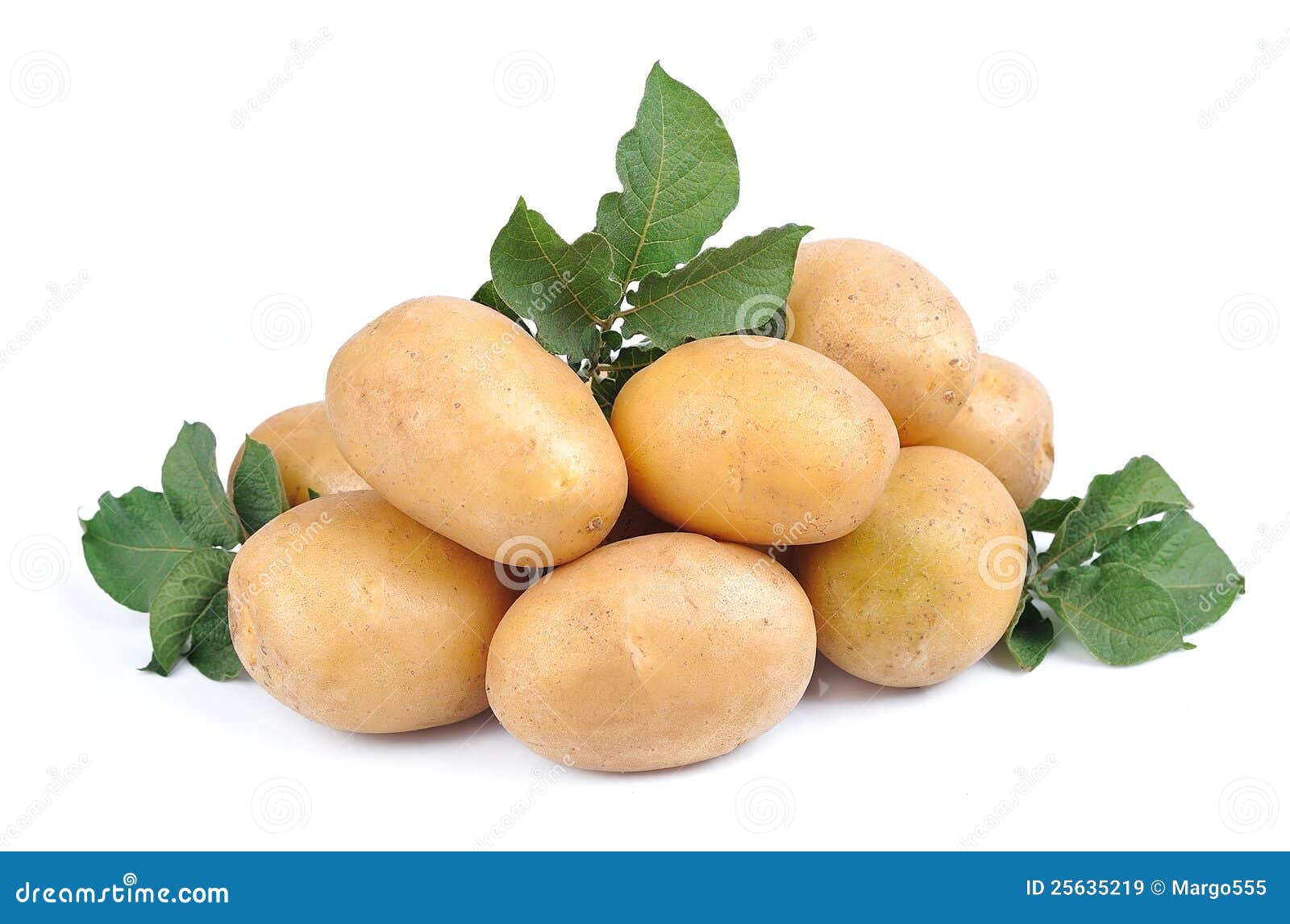 Potato close up stock image. Image of young, cocking - 25635219