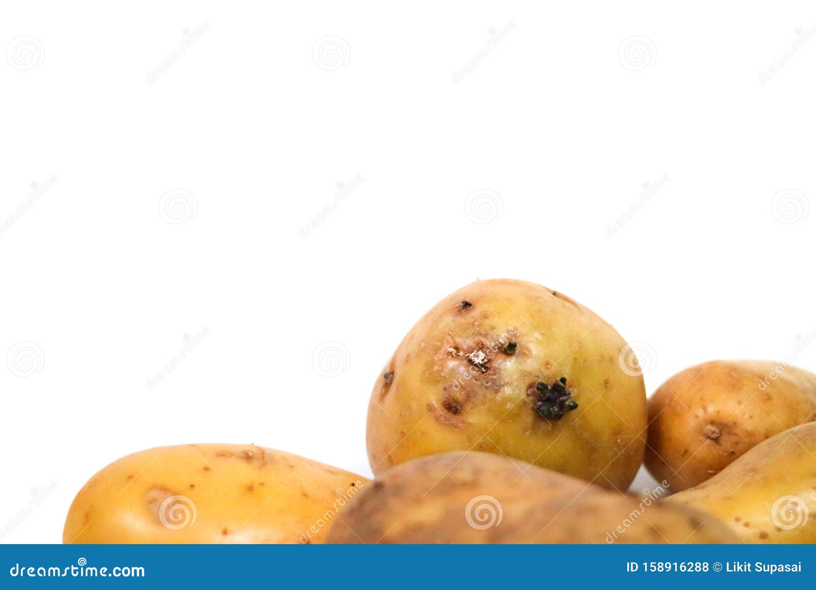 Potato Close Up for Background Design Stock Photo - Image of tuber ...