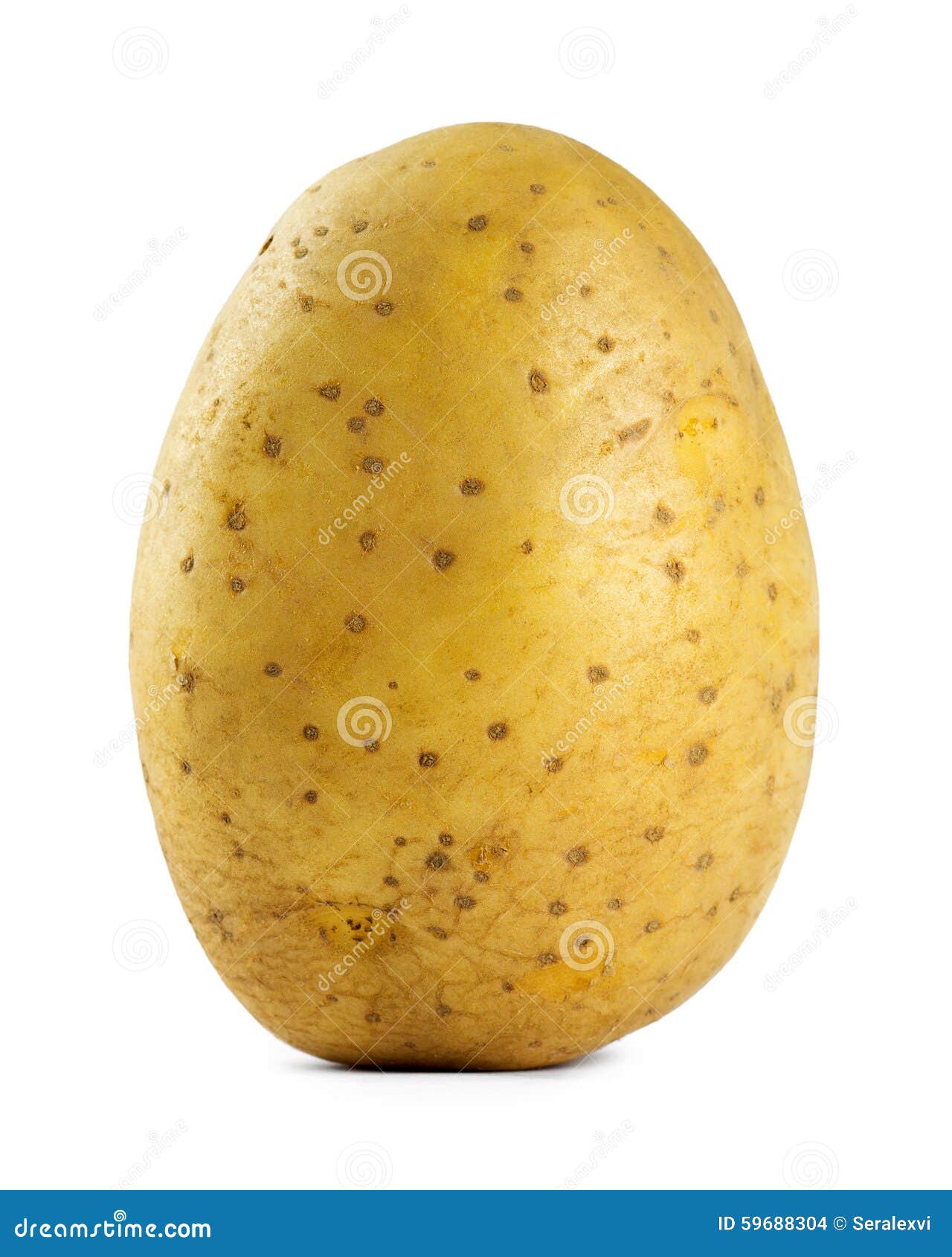 Potato closeup stock photo. Image of freshness, potato - 59688304