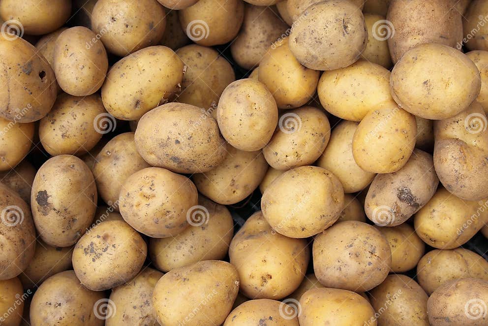 Potato on counter in shop stock image. Image of color - 14213345