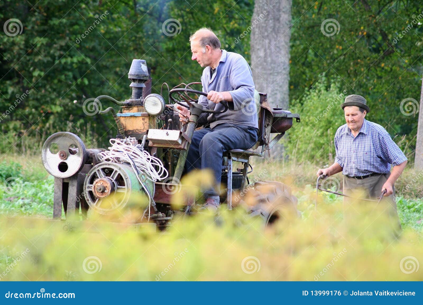 Potato Digging in Country Side Stock Photo - Image of digging, farmer ...