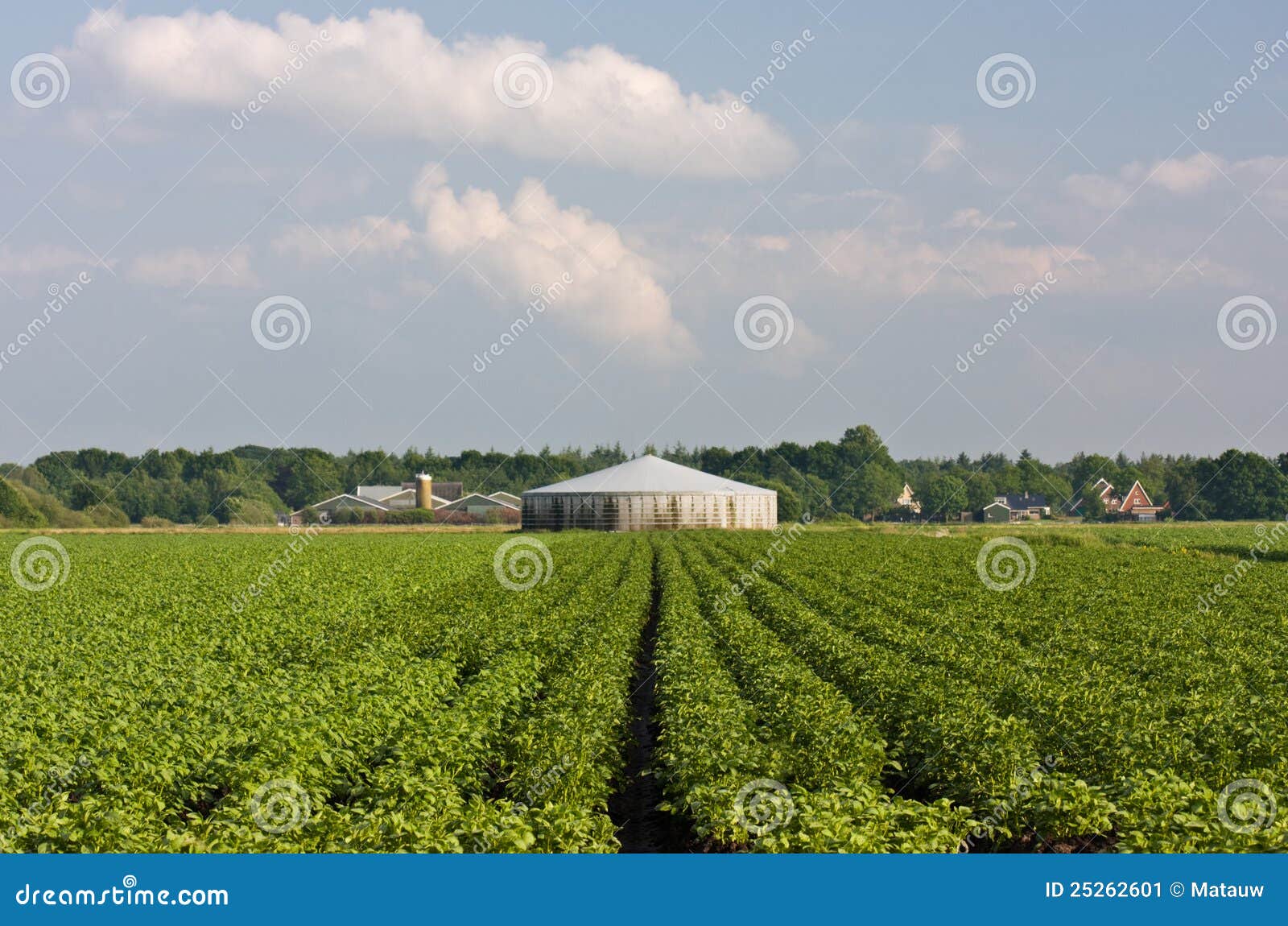 Poultry Farm Manure Storage Stock Photos - Free & Royalty-Free Stock ...
