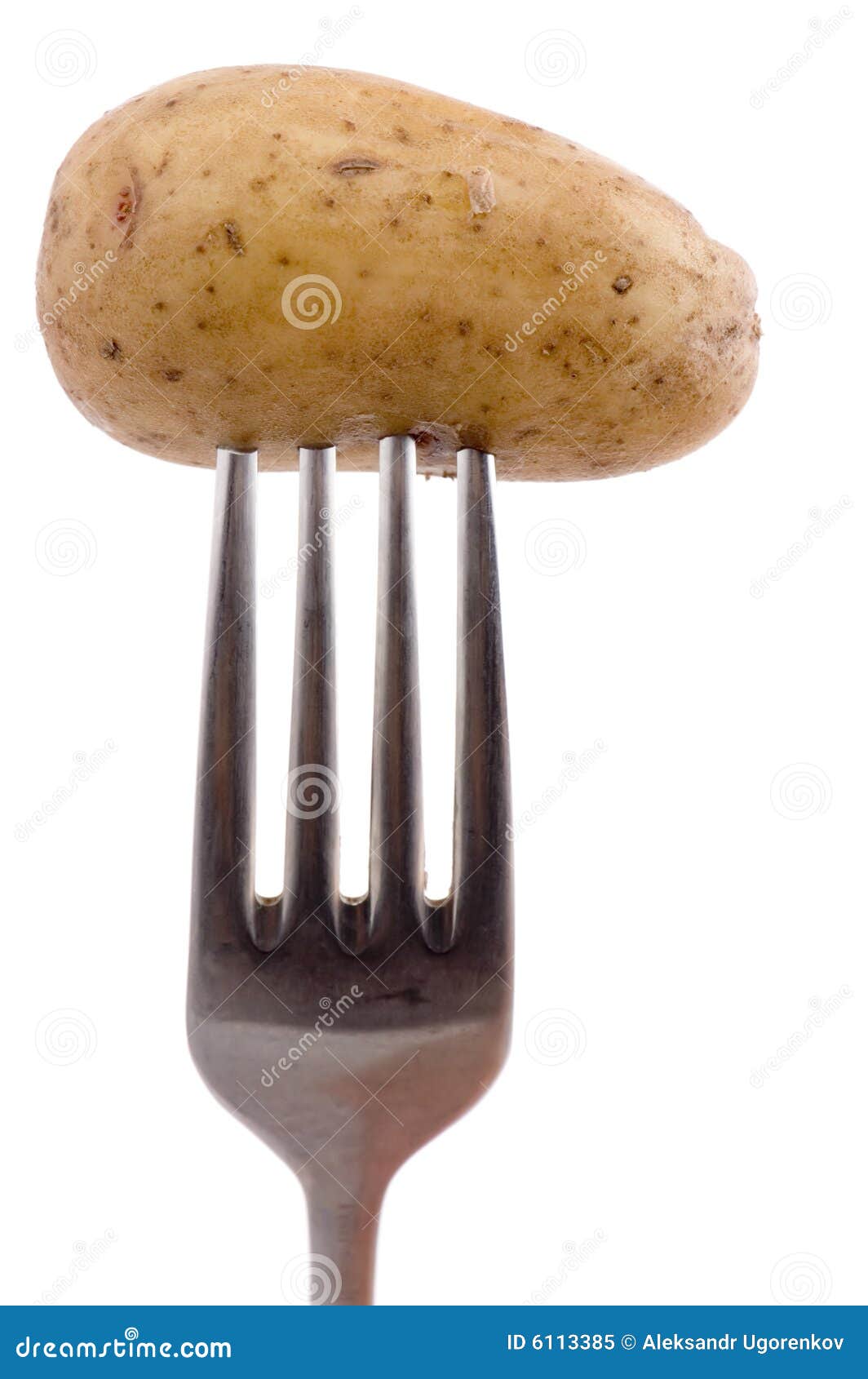 Potato on fork stock image. Image of spuds, fork, food - 6113385