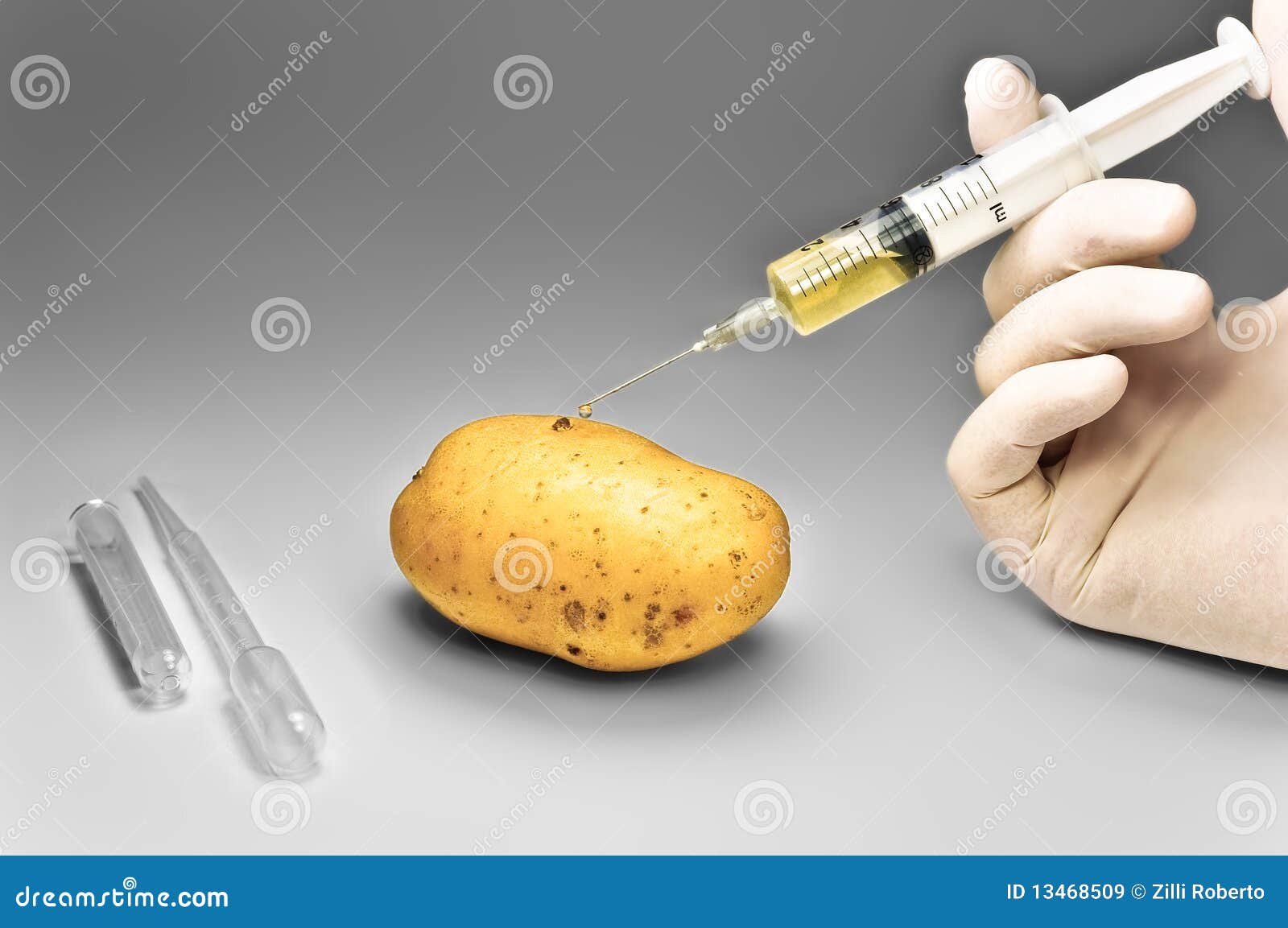 Potato GMO stock image. Image of nutrition, color, nature - 13468509