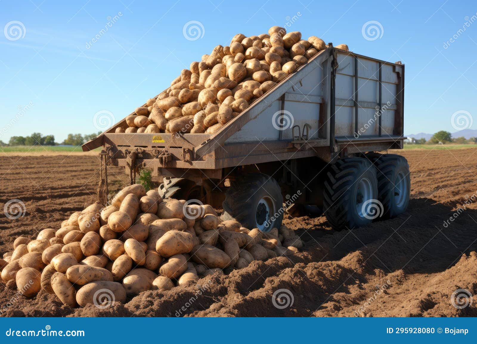 A Truck Full of Harvested Potatoes at the Farm. AI Generated Stock ...