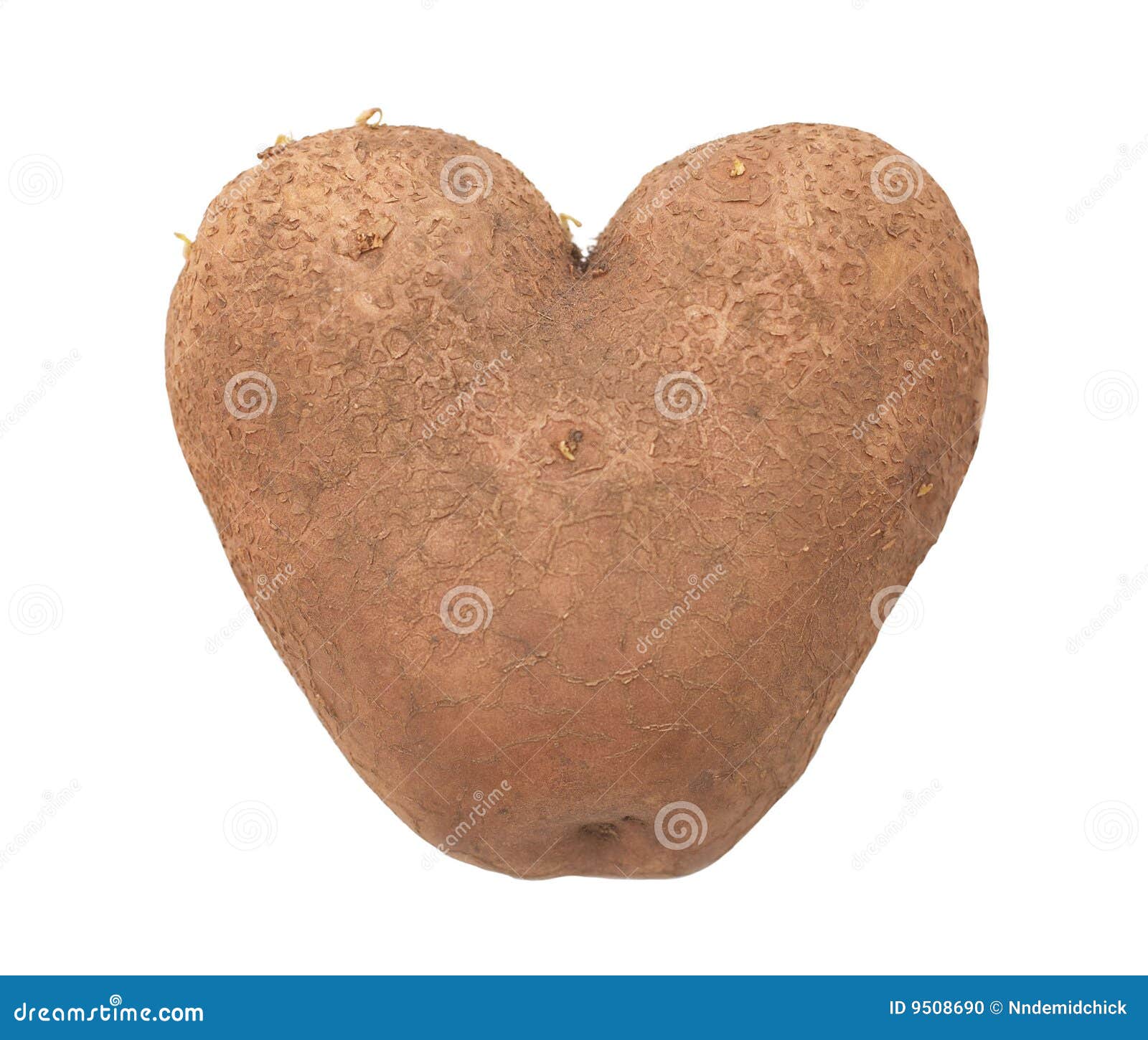 Potato in heart shape stock photo. Image of unique, heart - 9508690