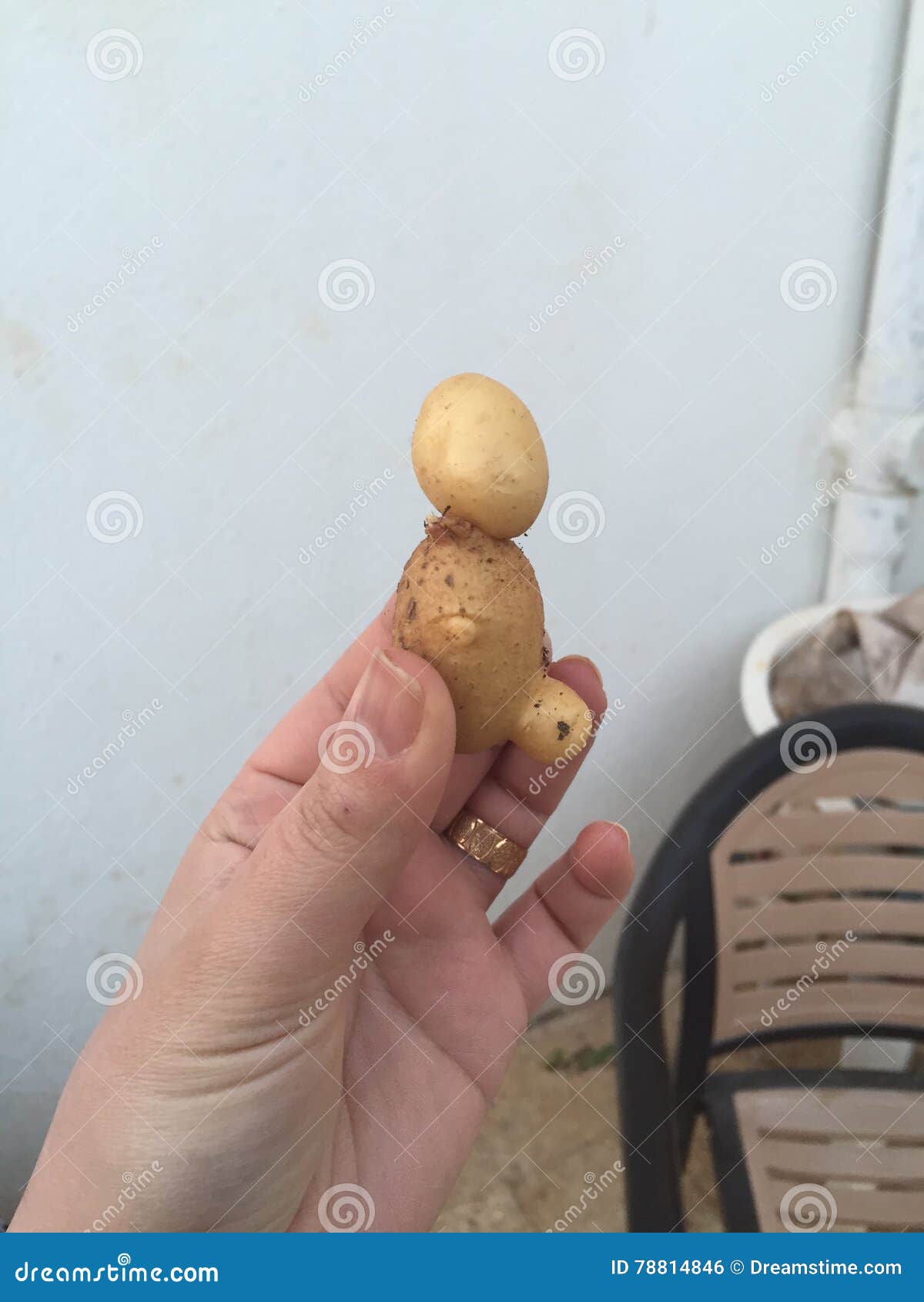 Potato stock photo. Image of funny, summer, potato, looking - 78814846