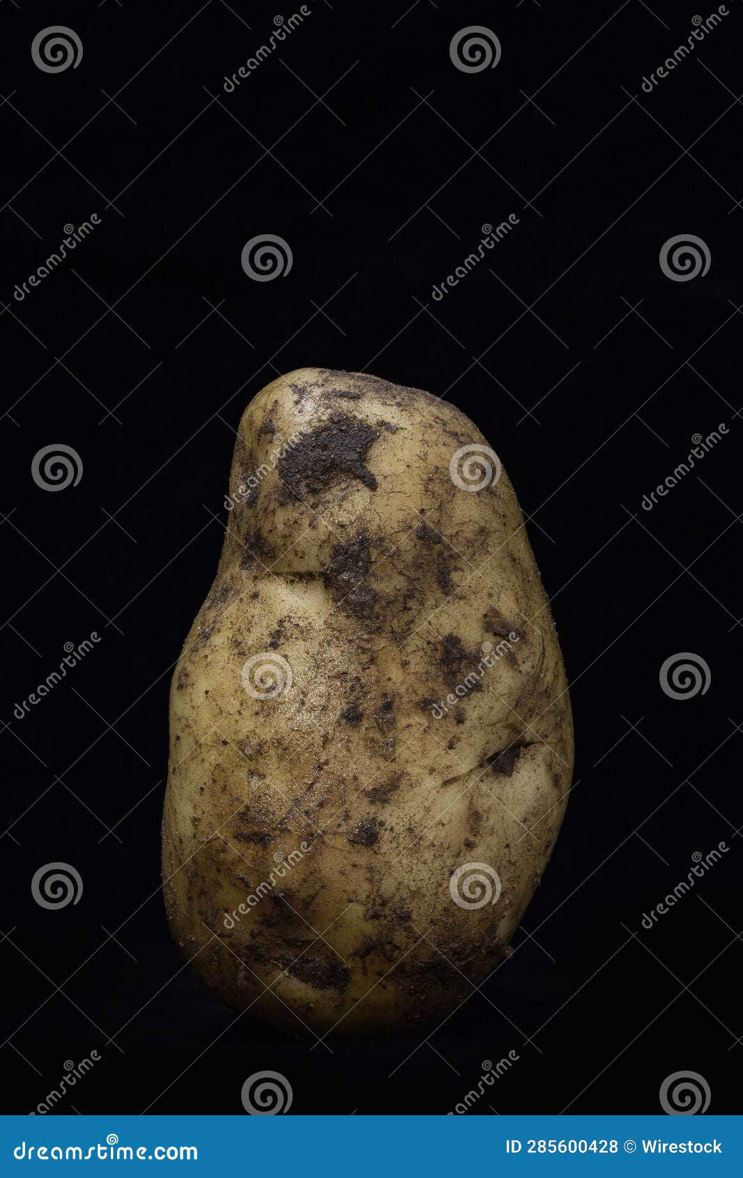 A Photo of Potato Texture Under a Macro Lens Stock Photo - Image of ...