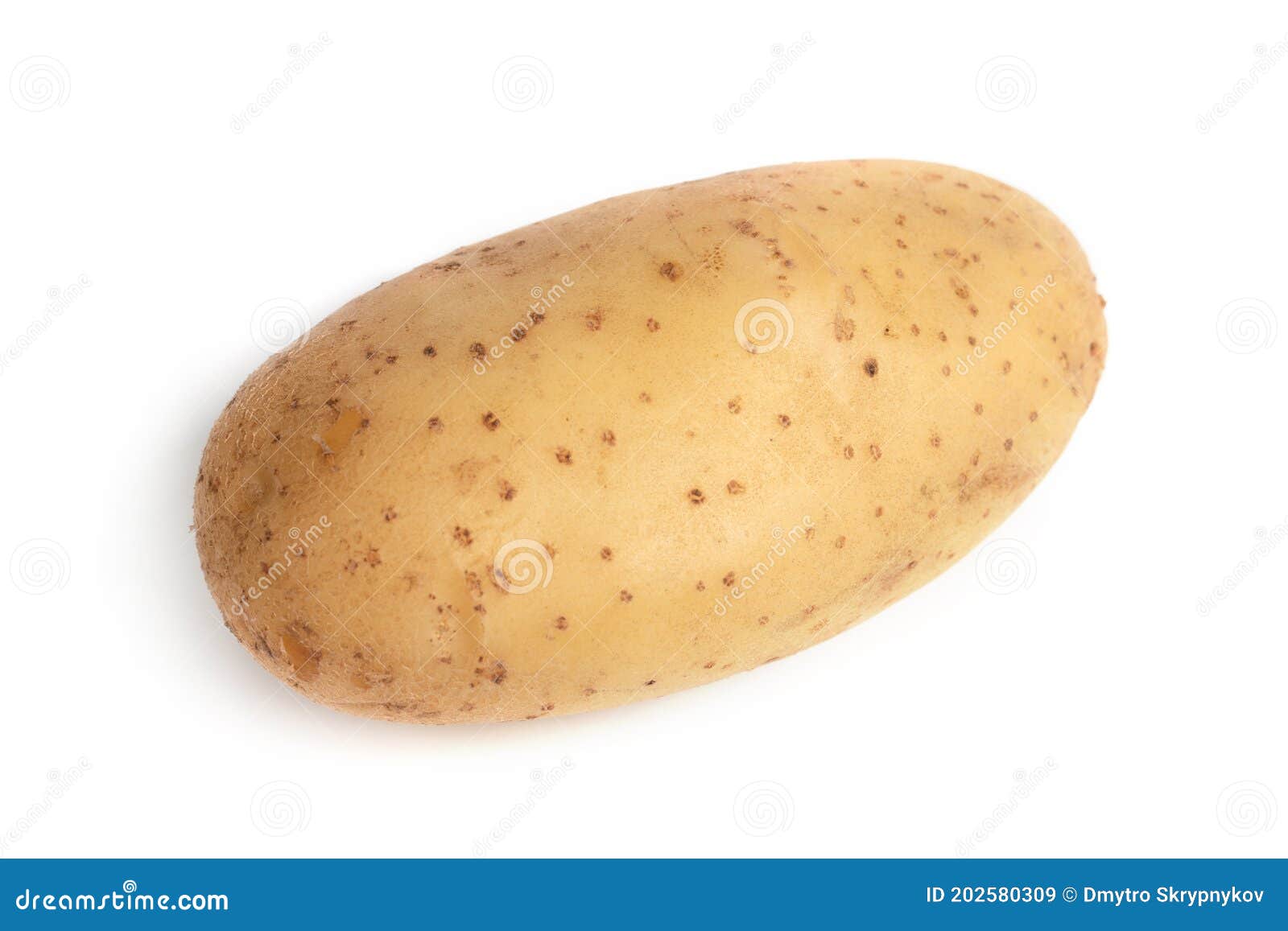 Potato Isolate on White Background. Close-up Stock Image - Image of ...