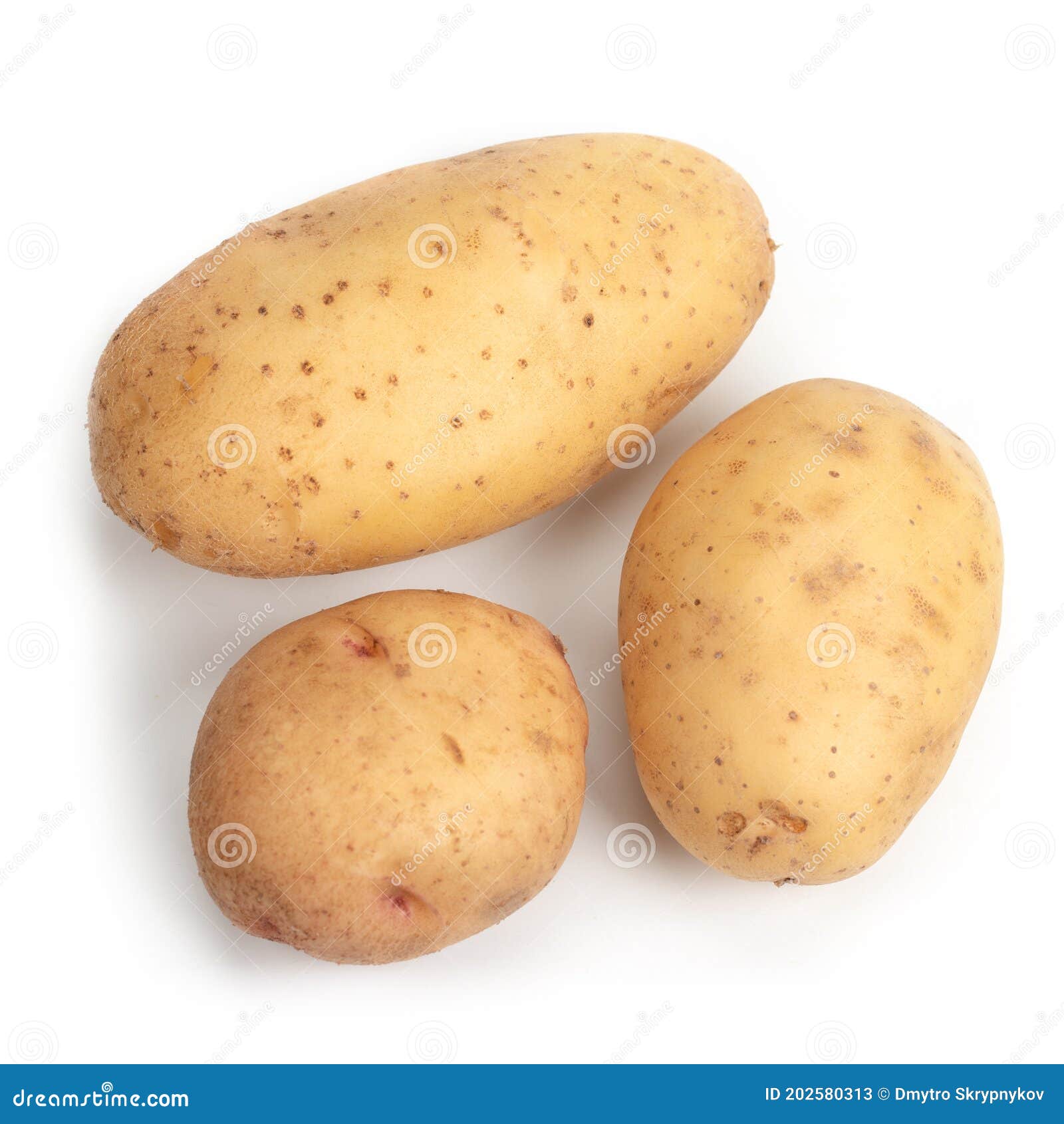 Potato Isolate on White Background. Close-up Stock Image - Image of ...