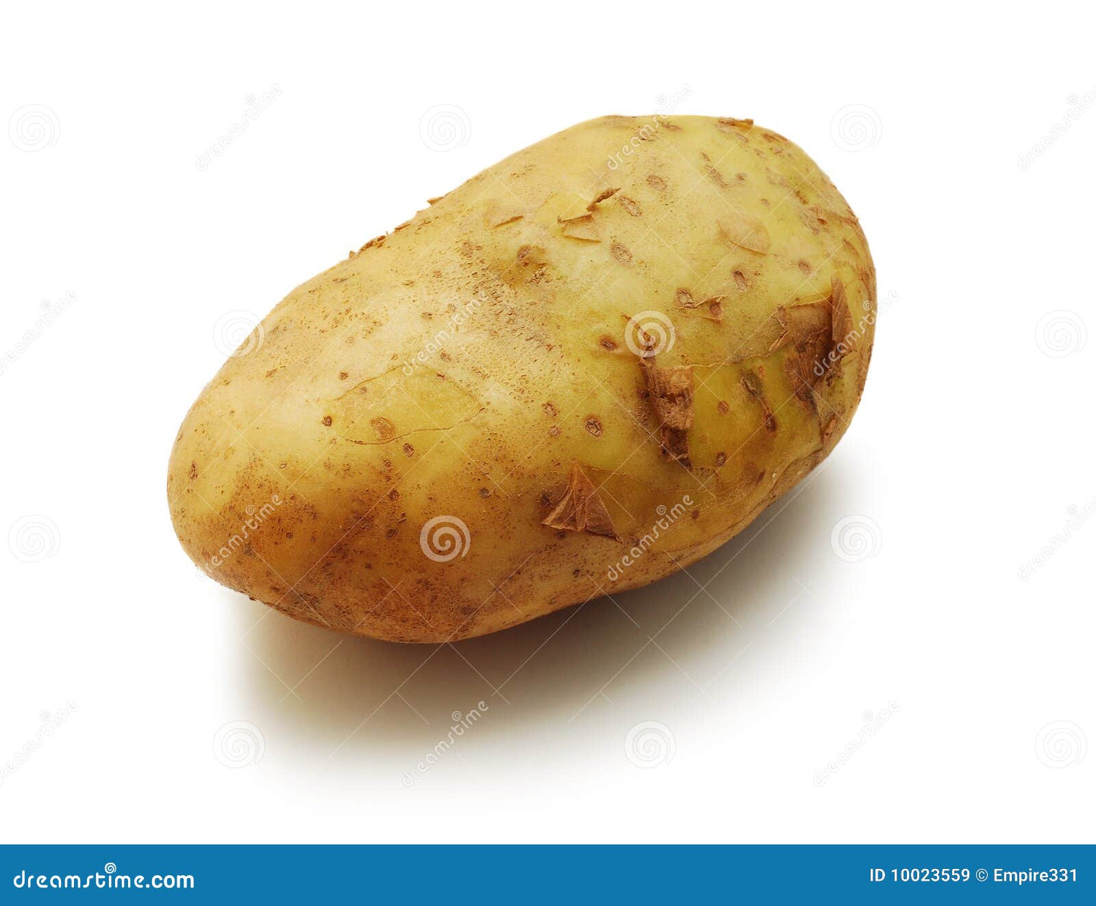 Potato isolated stock image. Image of root, prepare, white - 10023559