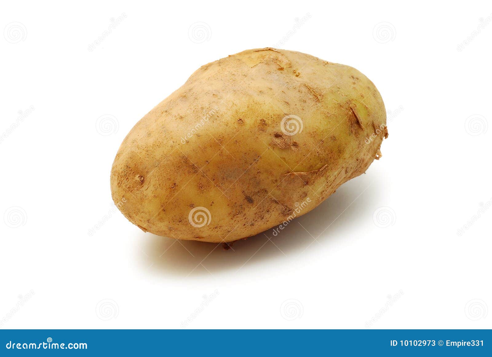 Potato isolated stock image. Image of vegetable, agriculture - 10102973
