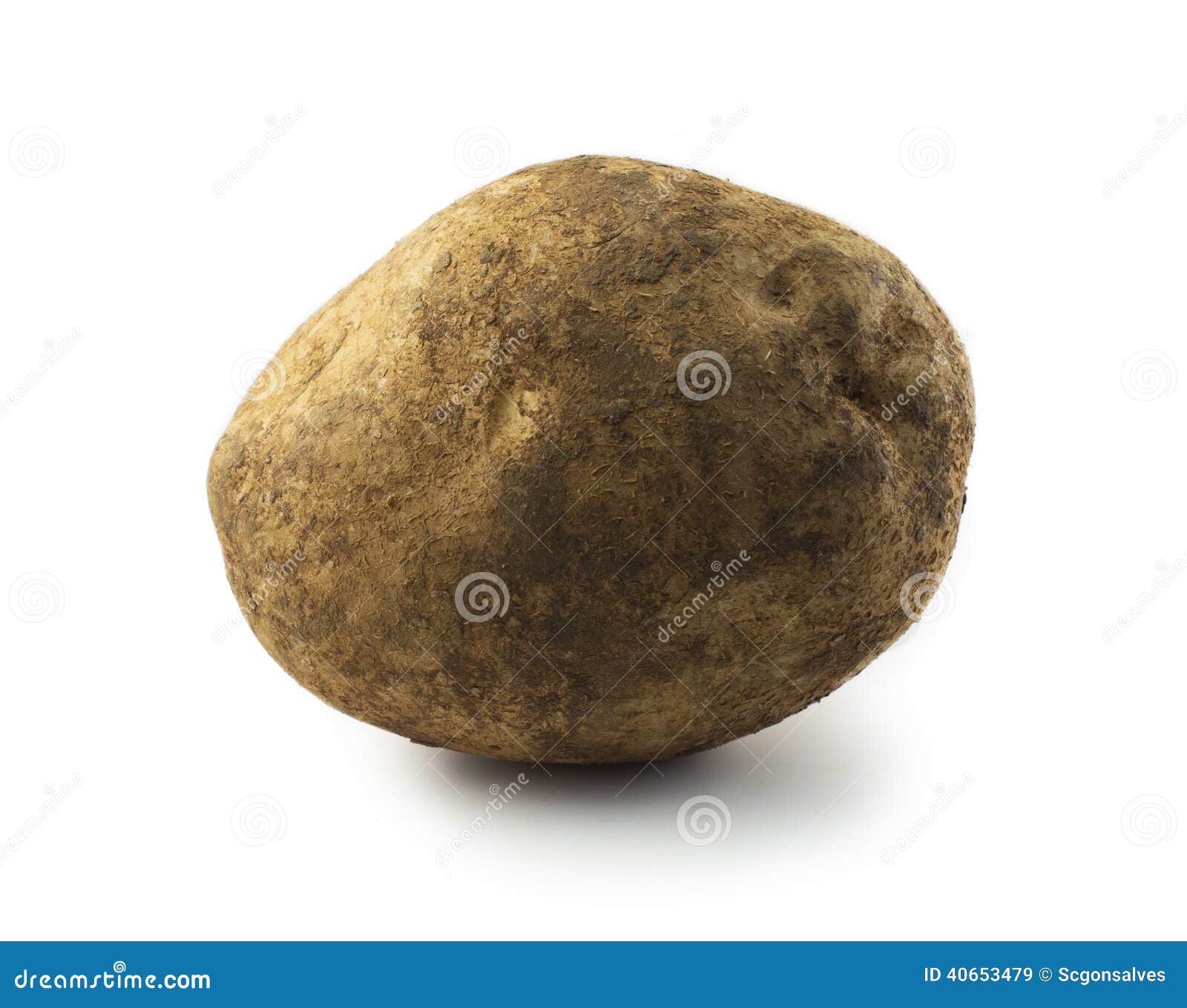 Potato isolated stock image. Image of harvest, healthy - 40653479