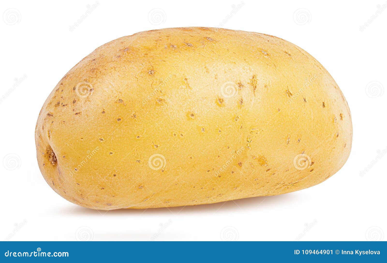 Potato isolated on white stock image. Image of healthy - 109464901