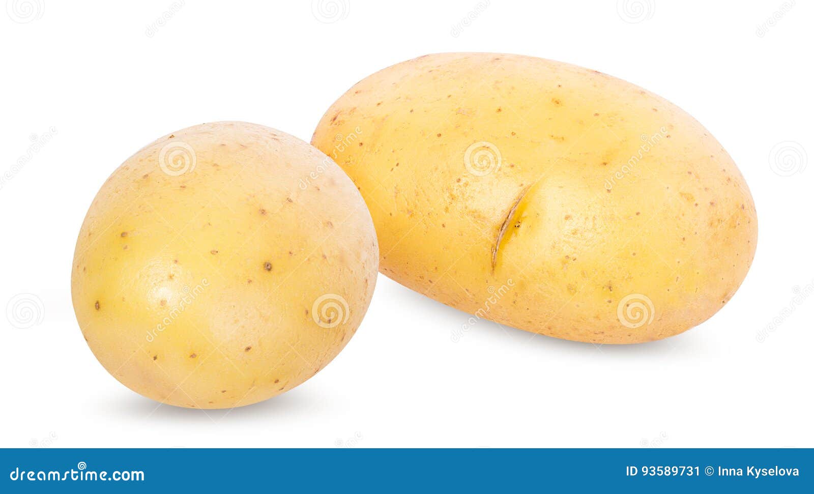 Potato isolated on white stock image. Image of healthy - 93589731