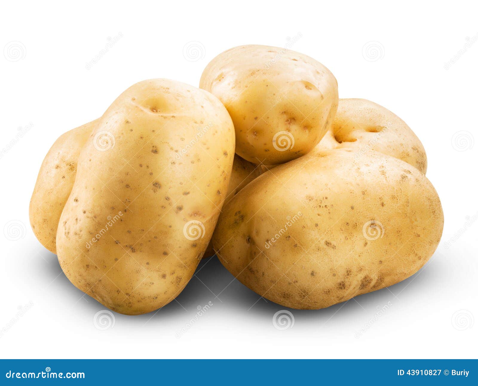 Potato isolated stock image. Image of feeling, plant - 43910827