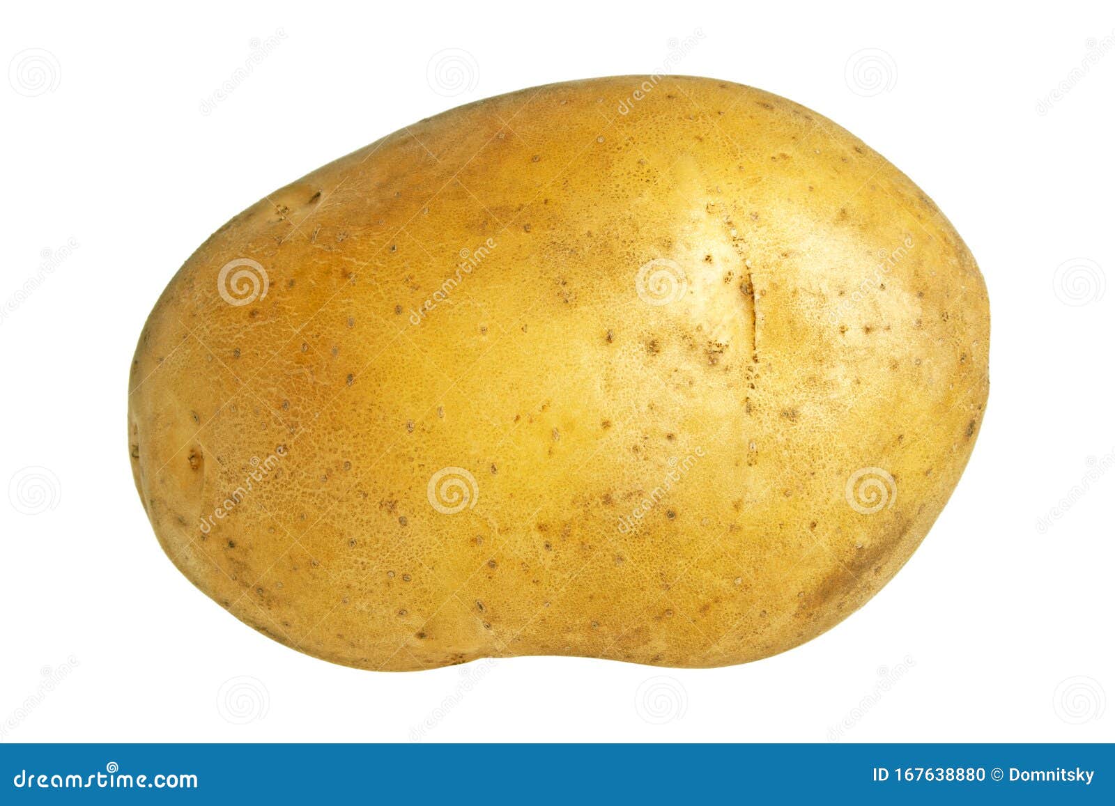 Potato Isolated on White Background Stock Photo - Image of shot, brown ...