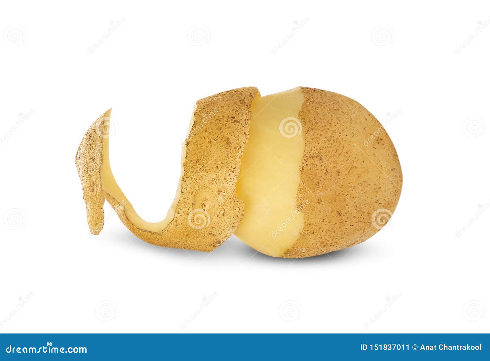 Potato Isolated on White Background Stock Image - Image of potatoe ...