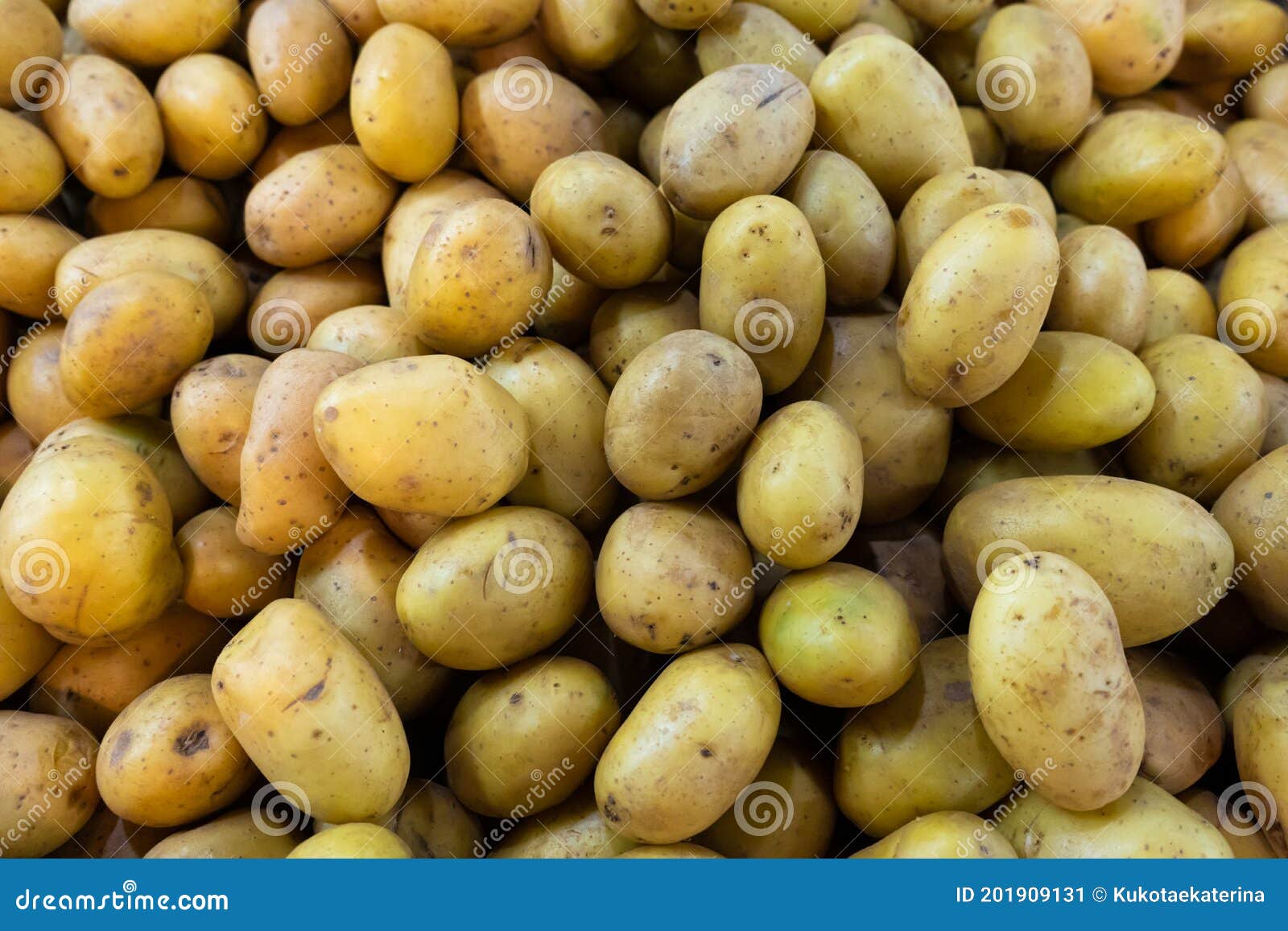 Potato. Lots of potatoes stock image. Image of group - 201909131