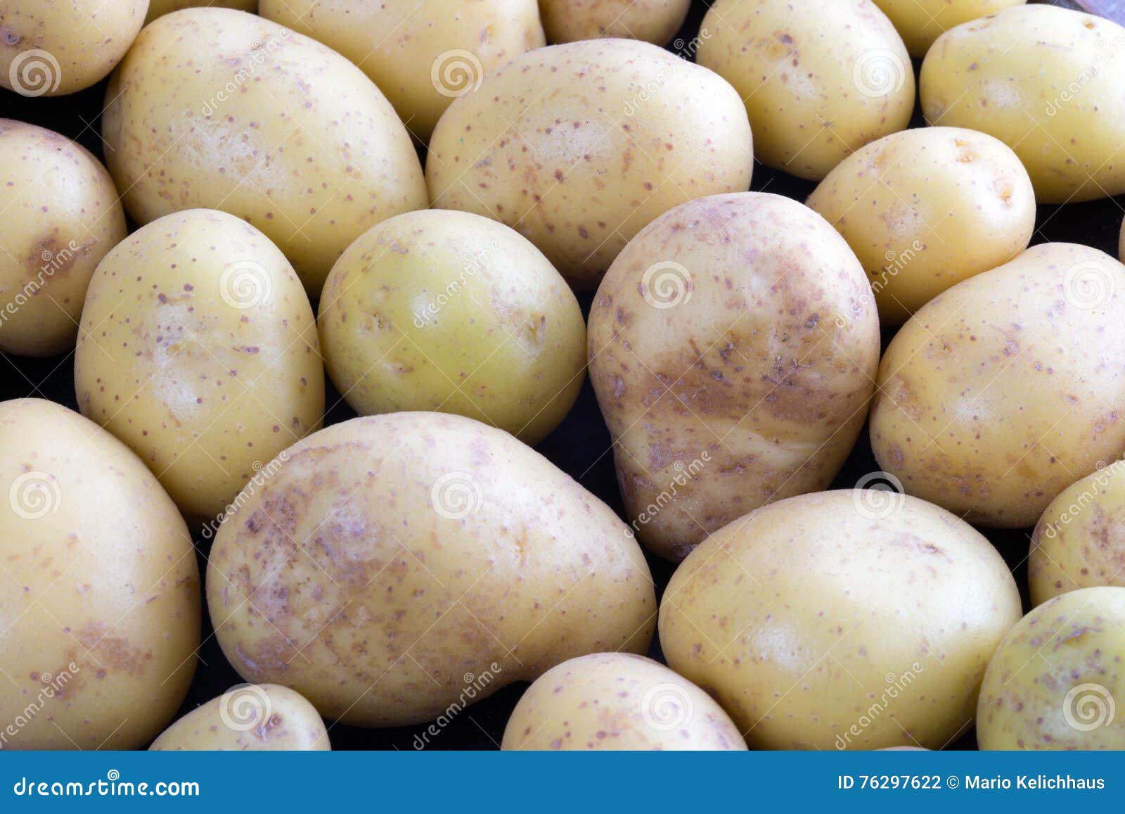 Potato stock photo. Image of tuber, floury, potato, root - 76297622
