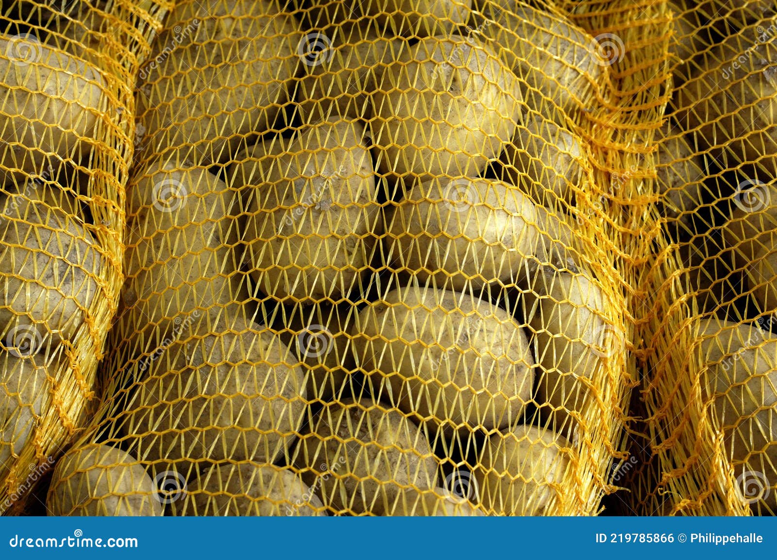 Net of potatoes stock photo. Image of healthy, close - 219785866