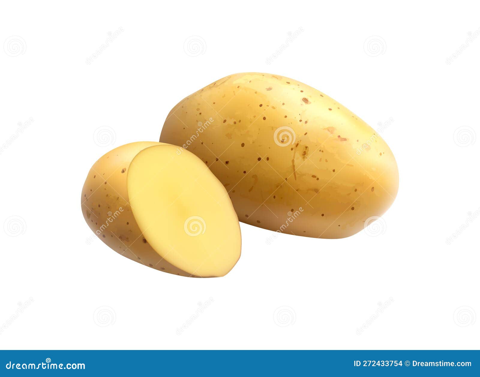 Potato Realistic Cards Set Vector Illustration | CartoonDealer.com ...