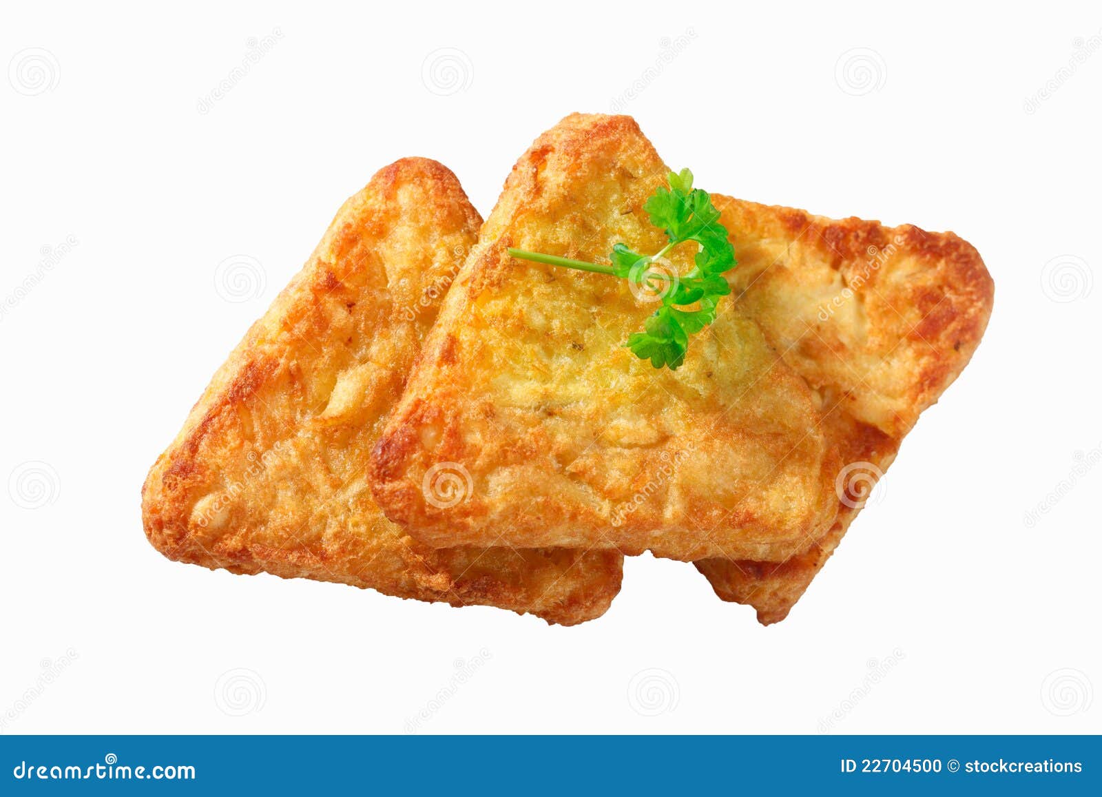 Potato Rosti stock photo. Image of rosti, potato, dinner - 22704500