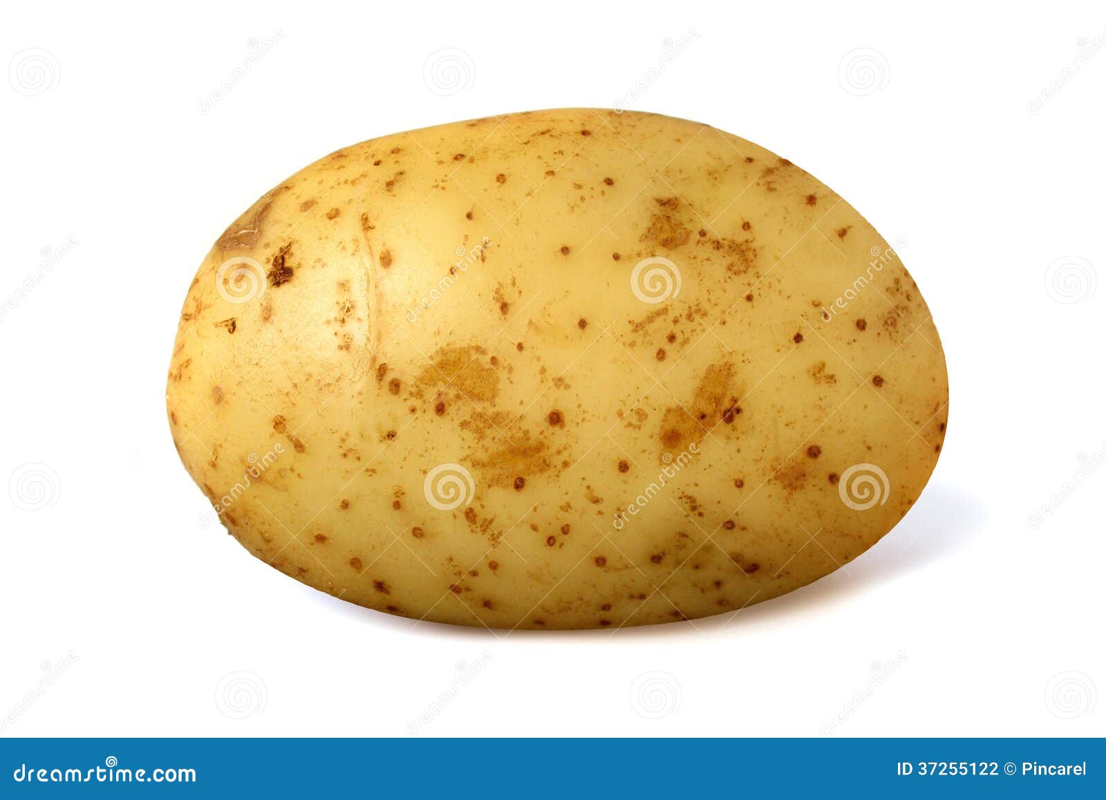 Potato Stock Photography - Image: 37255122