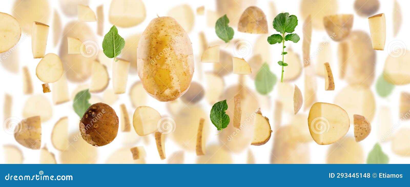 Potato Slice and Leaf Abstract Stock Illustration - Illustration of ...