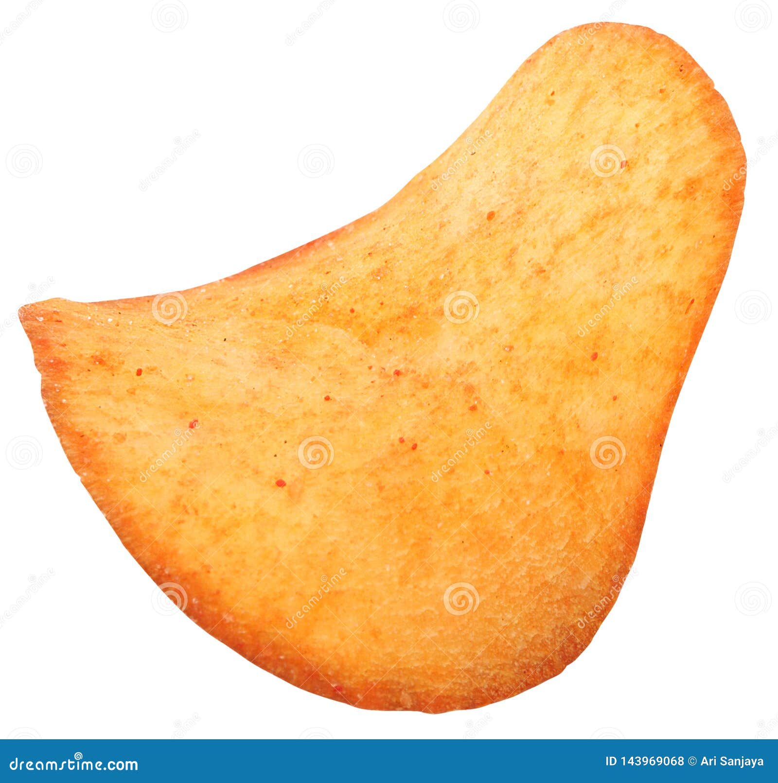 Potato slice on white stock photo. Image of organic - 143969068