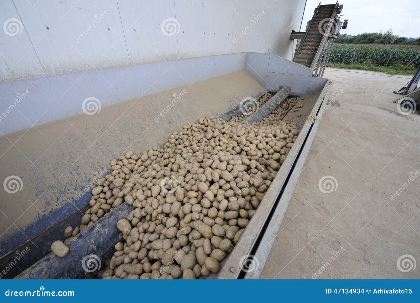 Potato stock photo. Image of agriculture, machine, line - 47134934