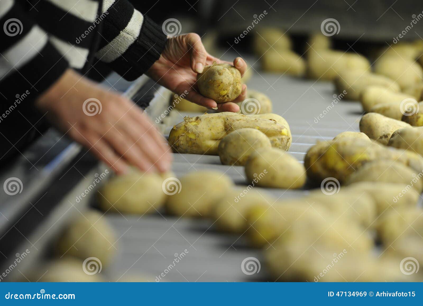 Potato stock image. Image of control, packing, machinery - 47134969