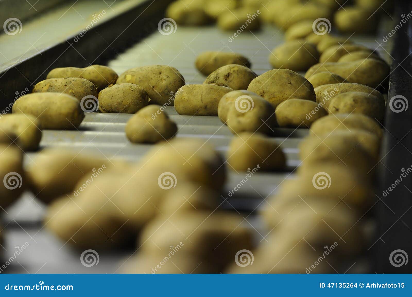 Potato stock photo. Image of potatoes, control, objects - 47135264