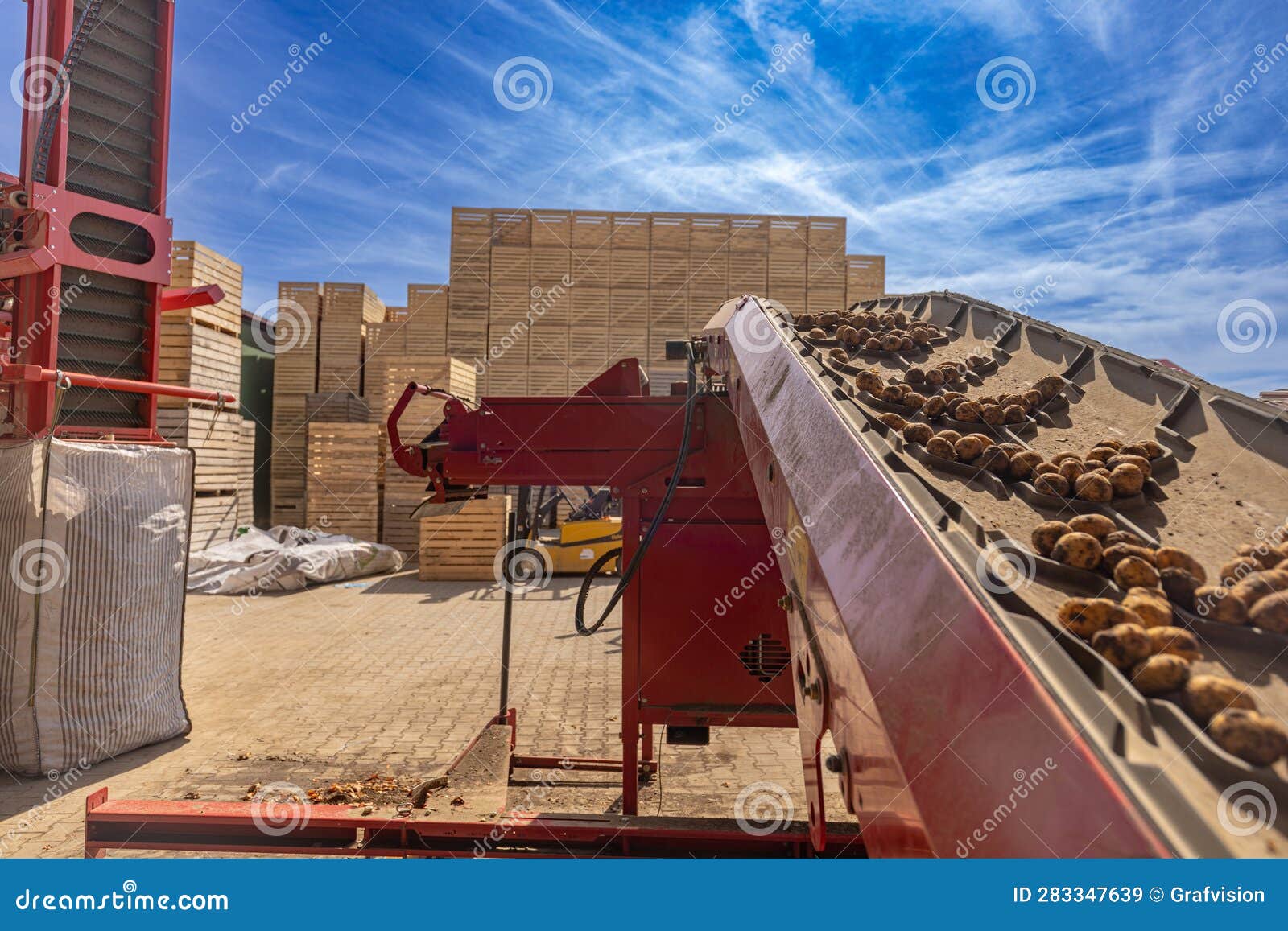 Potato Sorting, Processing and Packing Factory Stock Image - Image of ...