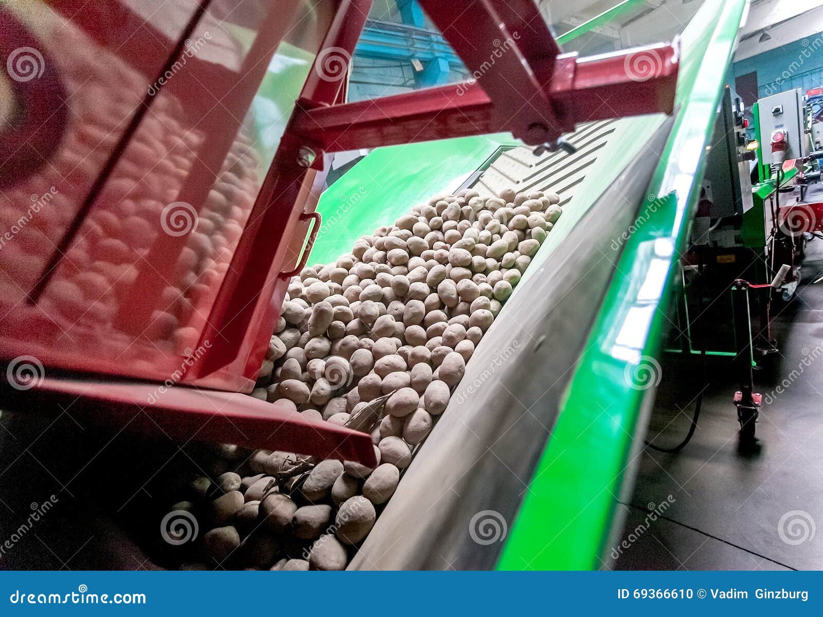 Potato Sorting, Processing and Packing Factory Stock Photo - Image of ...