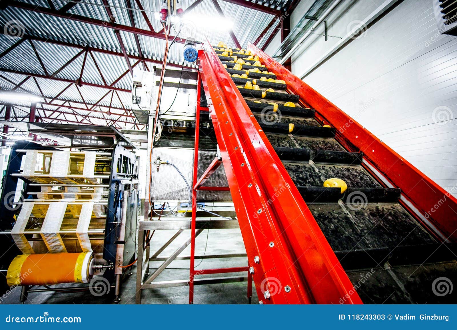 Potato Sorting, Processing and Packing Factory Stock Image - Image of ...