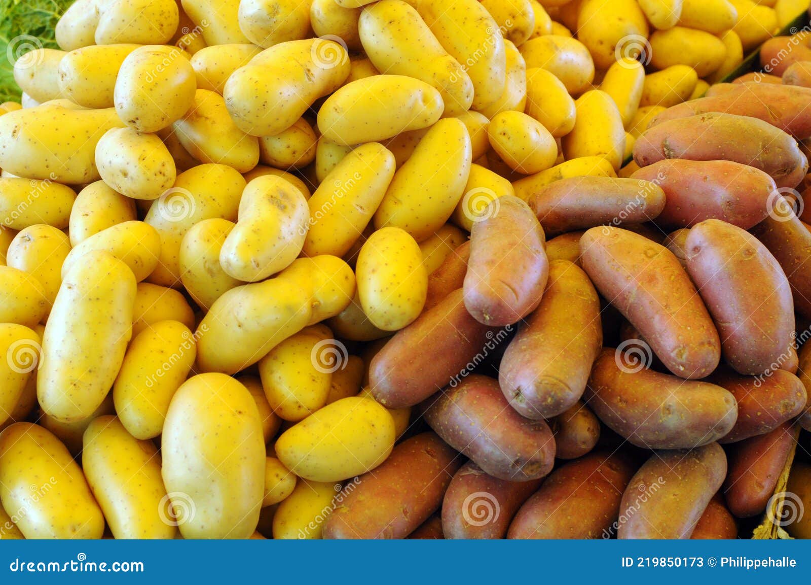 Stall of potatoe stock image. Image of vitamin, stall - 219850173