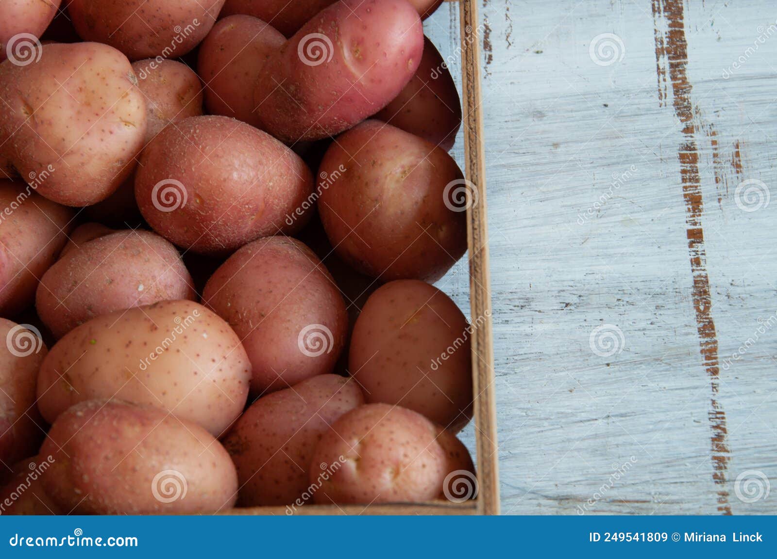 Potato on the table stock image. Image of harvest, autumn - 249541809