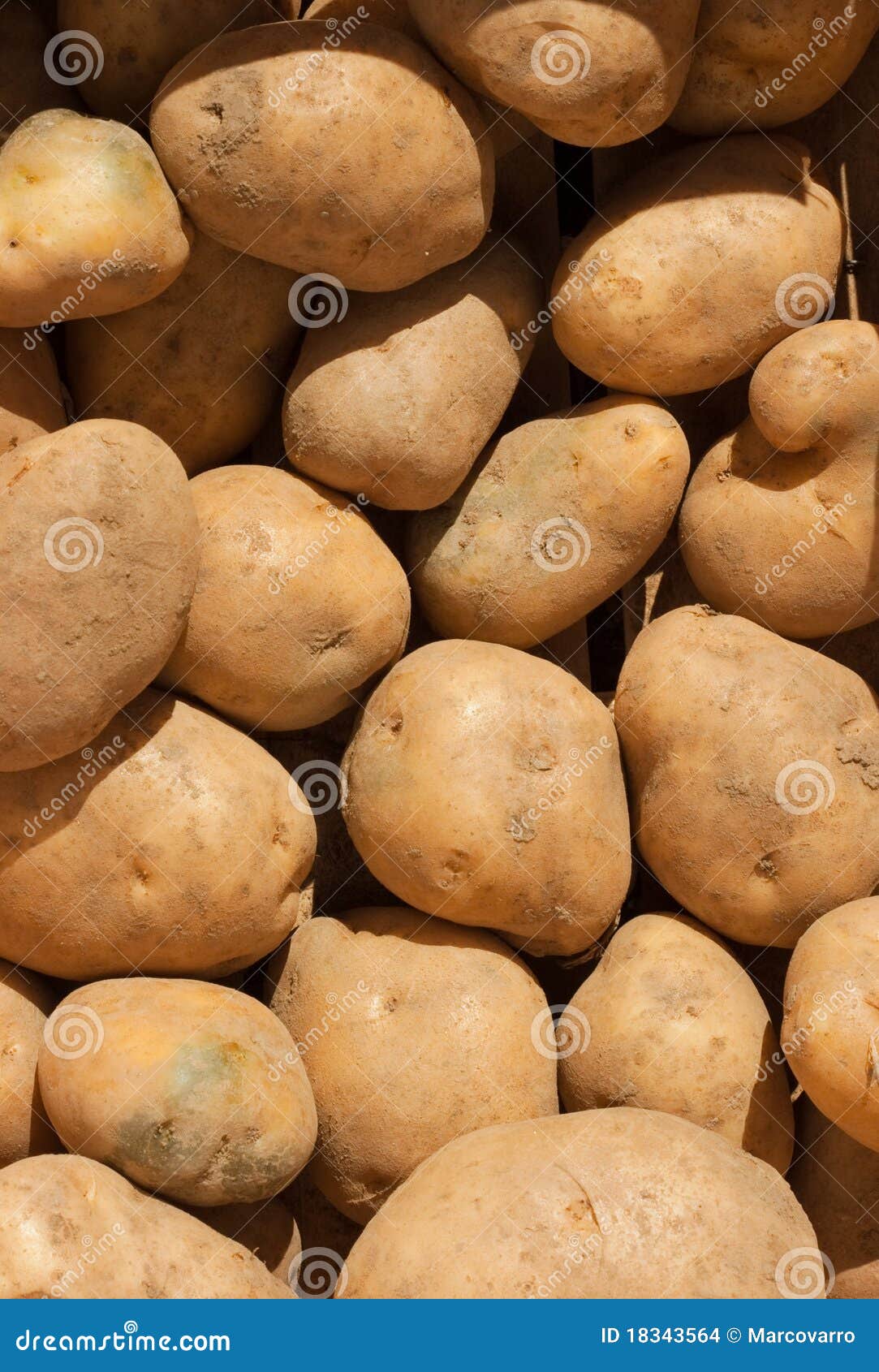 Potato texture stock photo. Image of market, potato, texture - 18343564